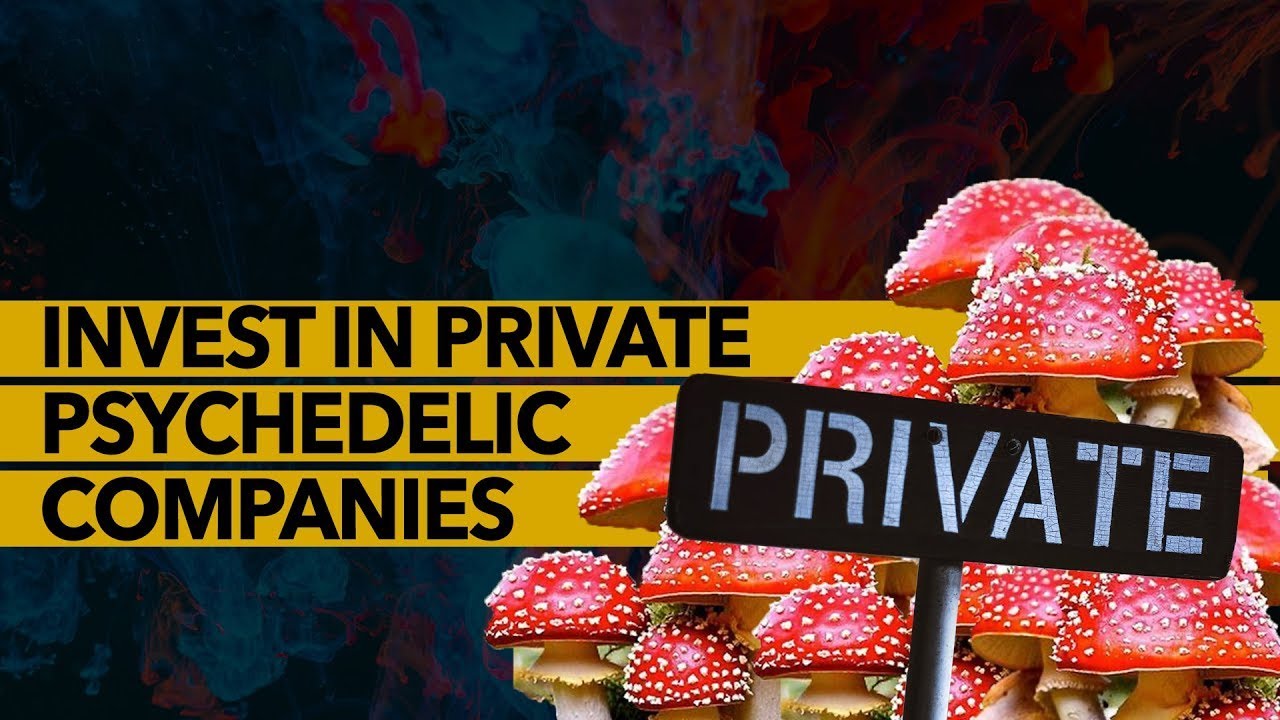 How to Invest in Early Stage Private Psychedelic Companies | Origin ...