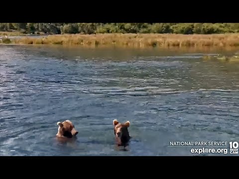 28 Jul 2022: 144 and 230 Float By (explore.org)