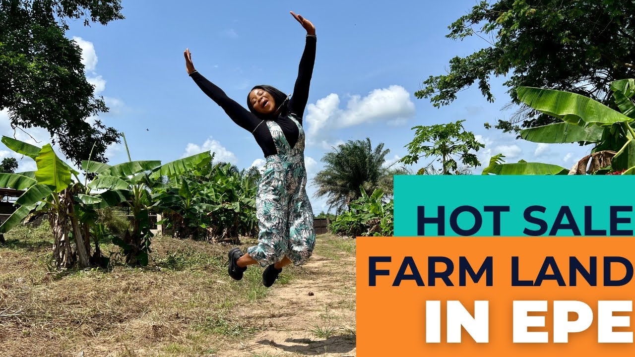 Farm land for sale in Epe / Dry and stable farm land in Epe Lagos with ...