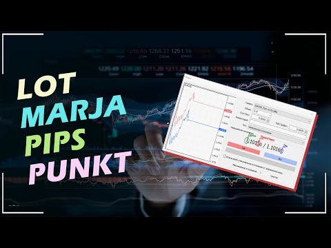 PUNKT VA PIPS  | LOT VA MARJA NIMA ??? SAVOLLARGA JAVOBLAR !