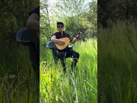 Aldım ele alemi mi #capcut #cover #asmr #comedy #dog #baby #müzik 
