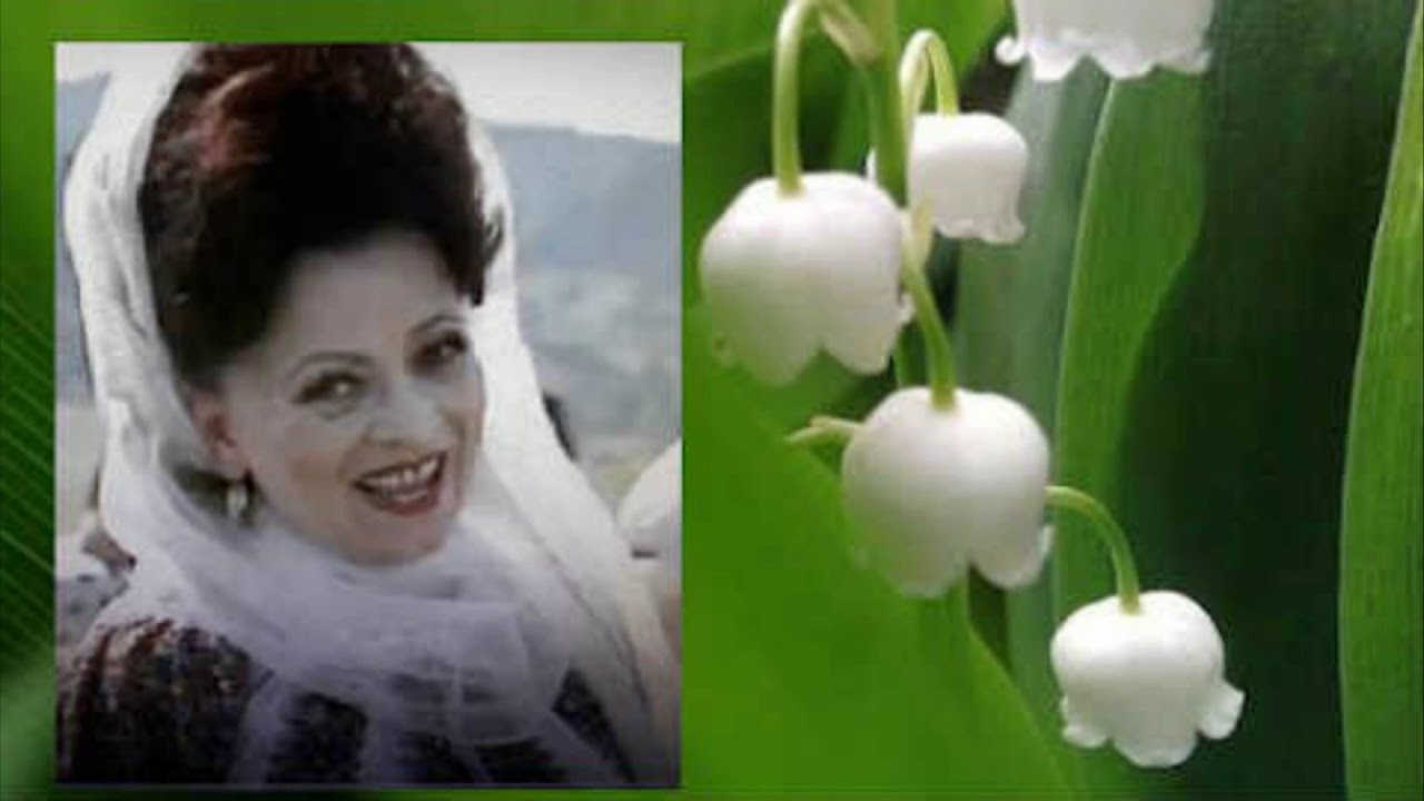 MARIA CIOBANU - FLOARE DE MARGARITAR - YouTube