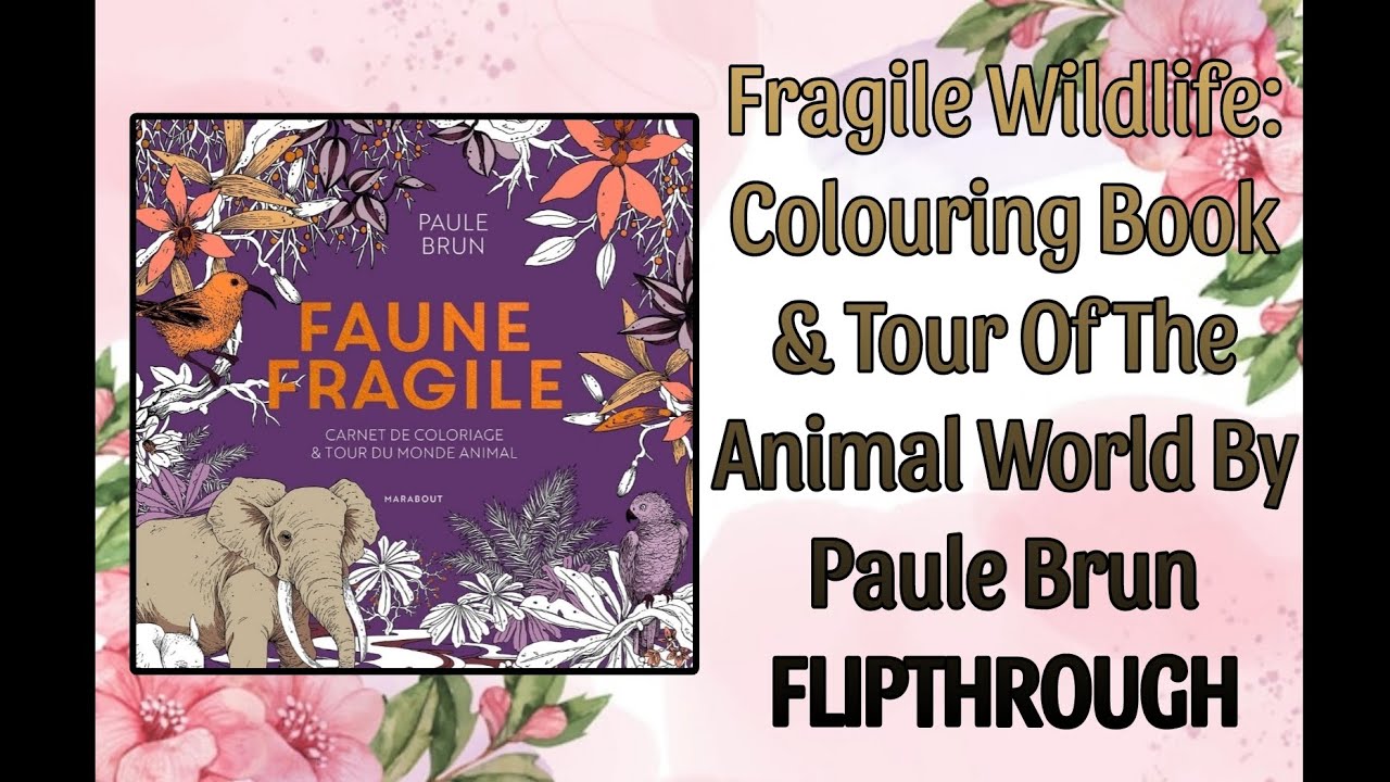 Fragile Wildlife: Colouring Book & Tour Of The Animal World By Paule ...