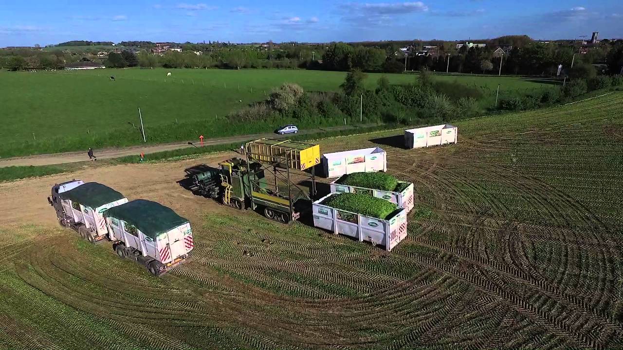 Récolte d'épinards avec une Ploeger MKC-4TR (Vues aérienne)-Harvest ...