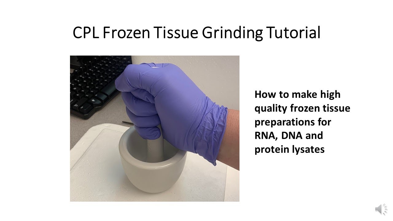 CPL Frozen Tissue Grinding Tutorial - YouTube
