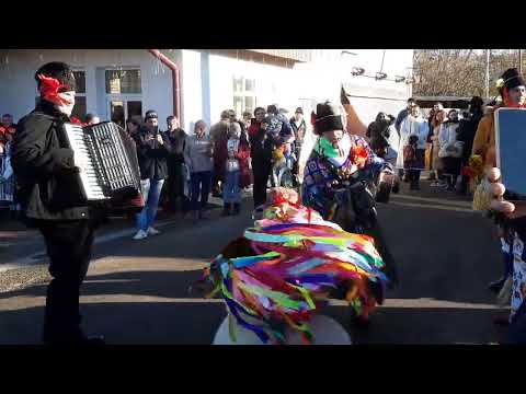 Datini Si Obiceiuri - YouTube