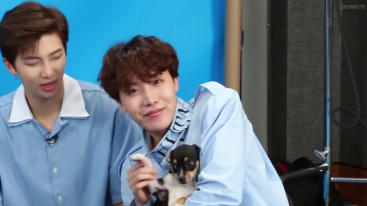 j-hope ft. HEY PUPPY - YouTube