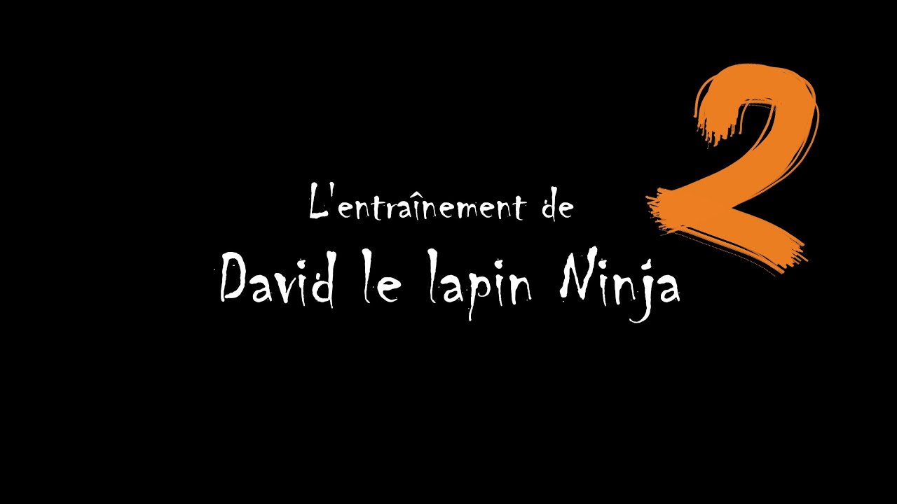 L'Entraînement de David le Lapin Ninja - Version originale - YouTube