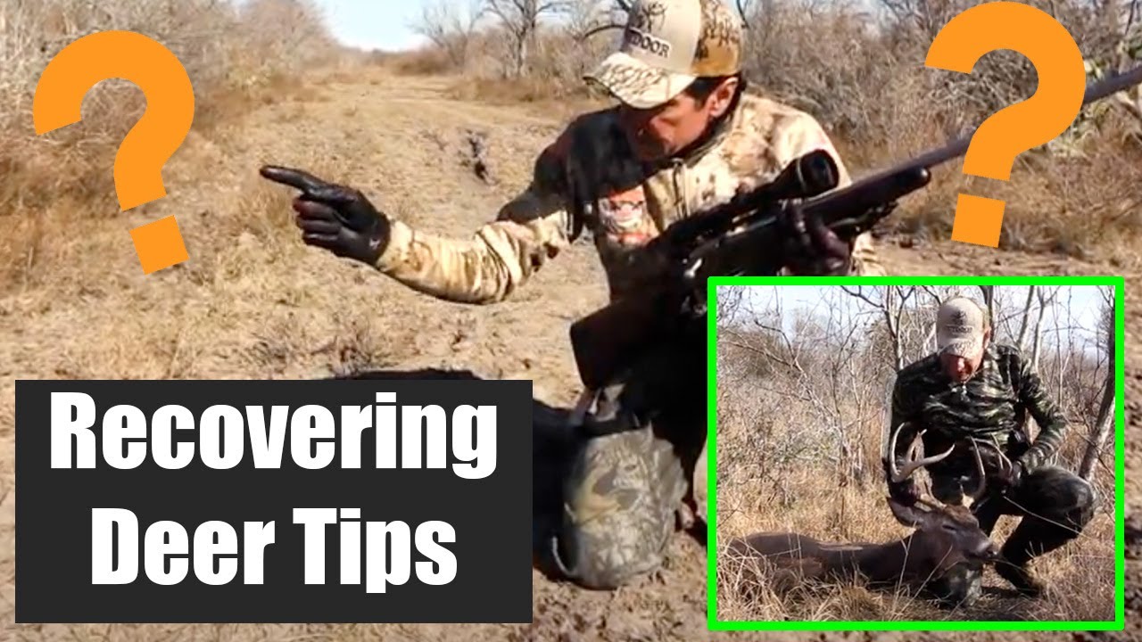 Tracking to Recover Your Injured Deer | When Blood Trail Stops | # ...