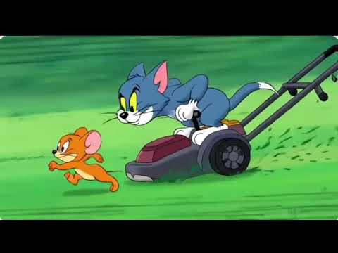 Tomy And Jerry 