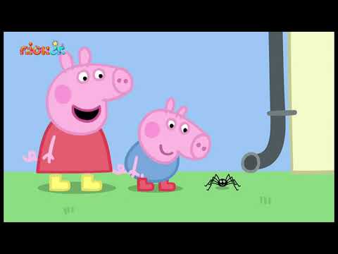 Peppa Pıg | Örümcek Ağı