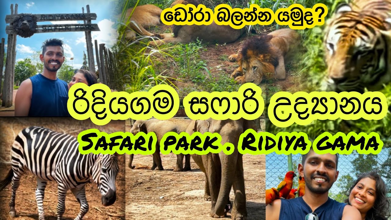 රිදියගම සෆාරි උද්‍යානය."Into the Wild: Safari Experience at Ridiyagama ...