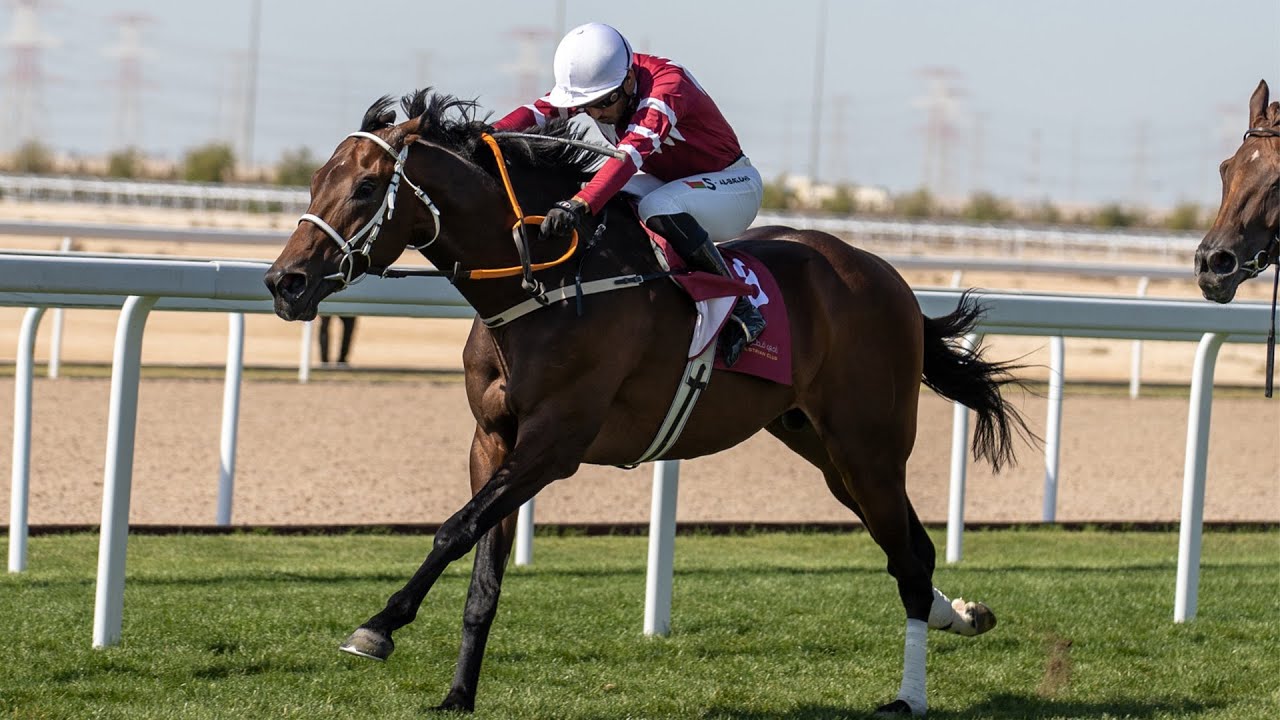 RM 39 Al Rayyan Race 5 - Msheireb Cup - YouTube