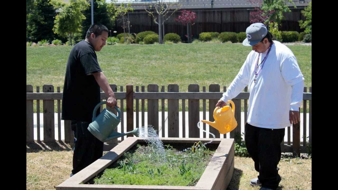 Oakland Unified School District Food Service - YouTube