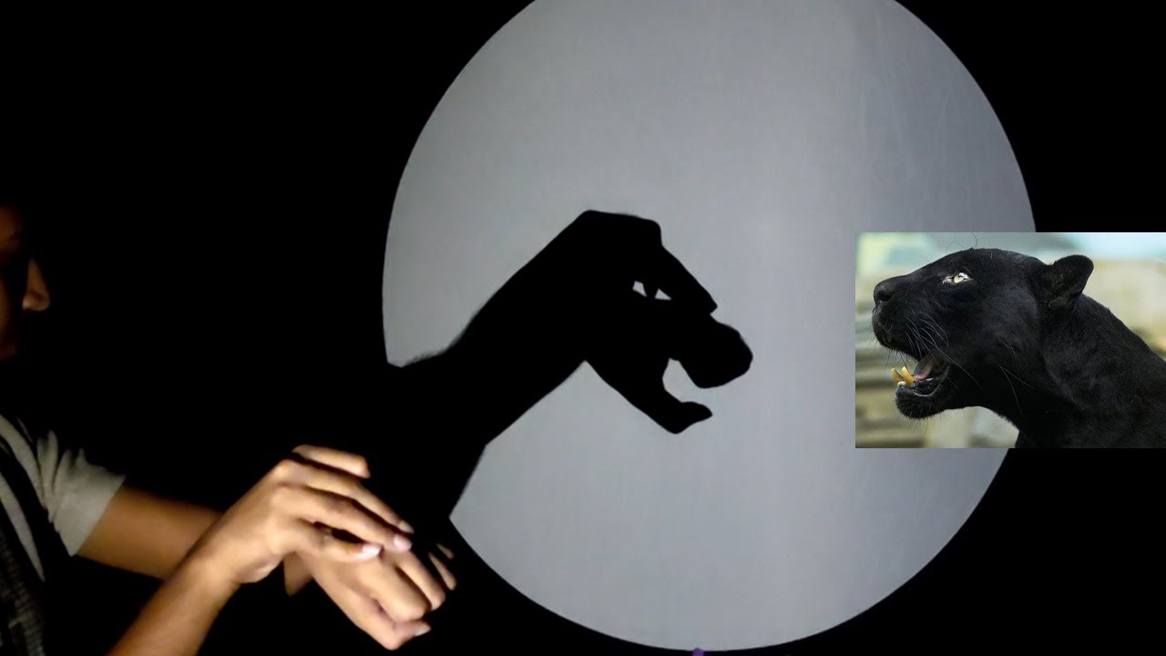 How To Make A Tiger By Hand Shadow | Panthar | Jaguar - YouTube