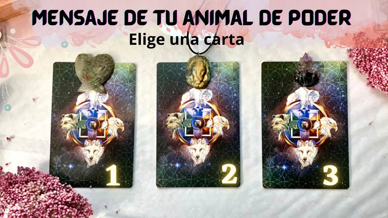 Tu ANIMAL DE PODER - Elige una Carta - Lectura de Tarot - La medicina ...