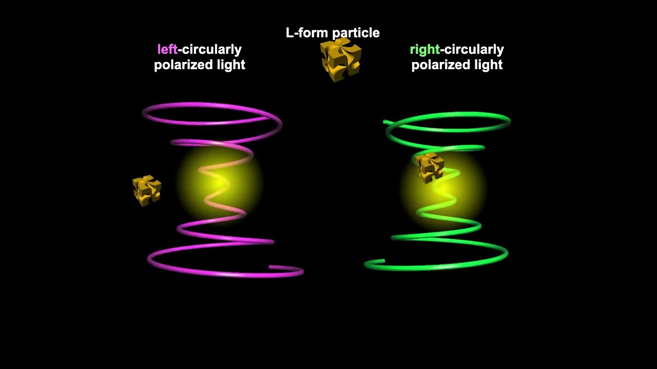 Differentiating right- and left-handed particles using the force ...
