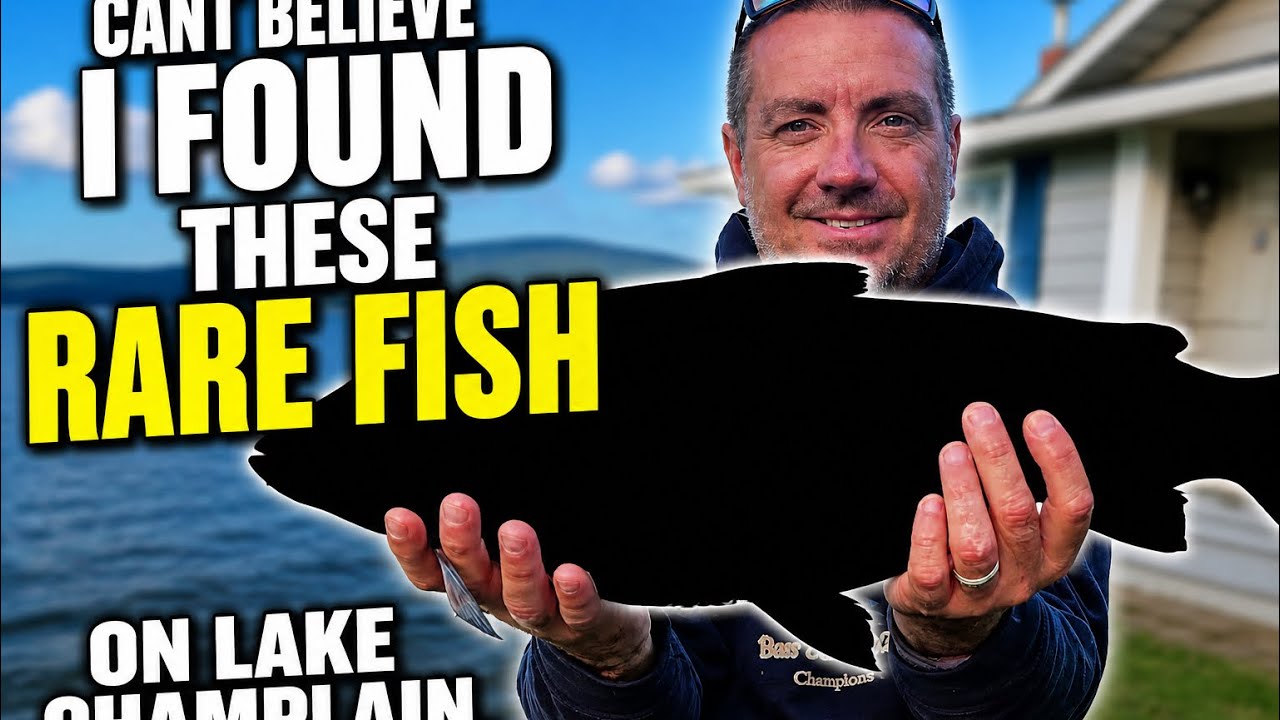 A fish that is rarely targeted here on Lake Champlain, the Lake ...