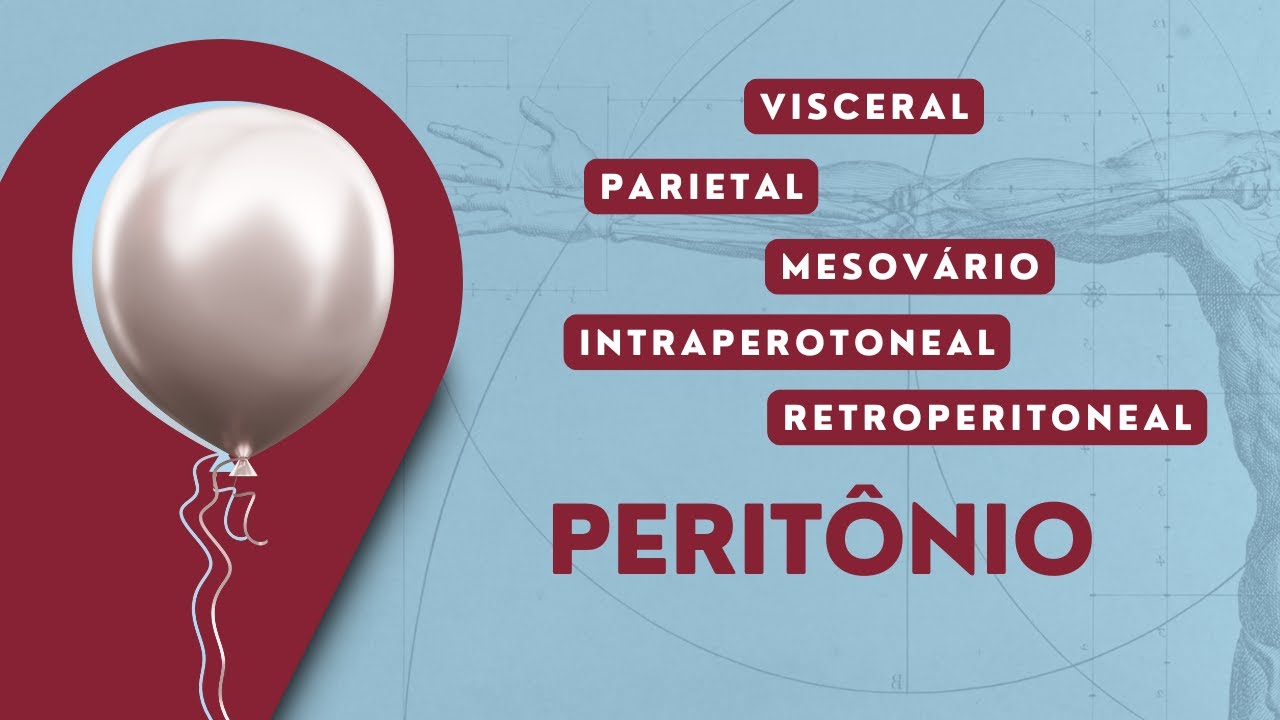 Peritônio | Anatomia Veterinária | Anatomia Animal | Membrana Serosa ...