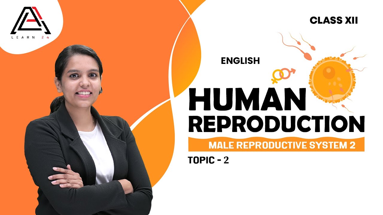 Human Reproduction Class 12 | NCERT Chapter 3| Full Chapter Topic Wise ...