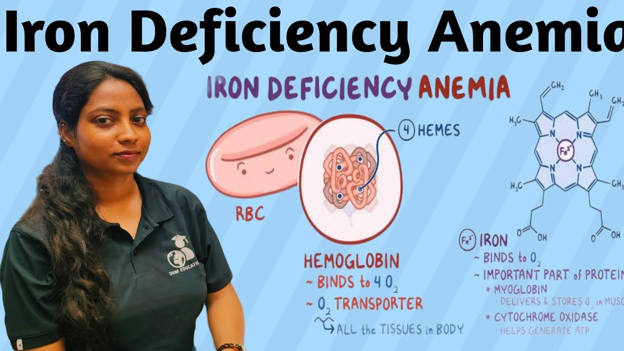 anemia | iron deficiency anemia | Causes,Pathophysiology, Signs ...