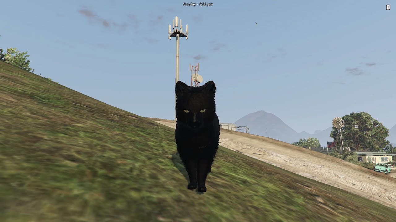 Black Cat Mod for GTA 5 - YouTube