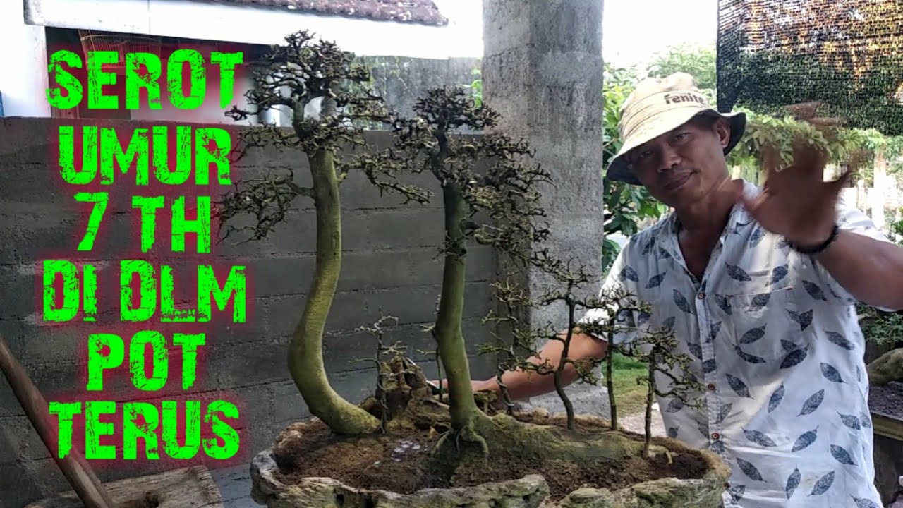 SEROT RAF DI DLM POT SELAMA TUJU TH SUDAH AGAK IMBANG - YouTube
