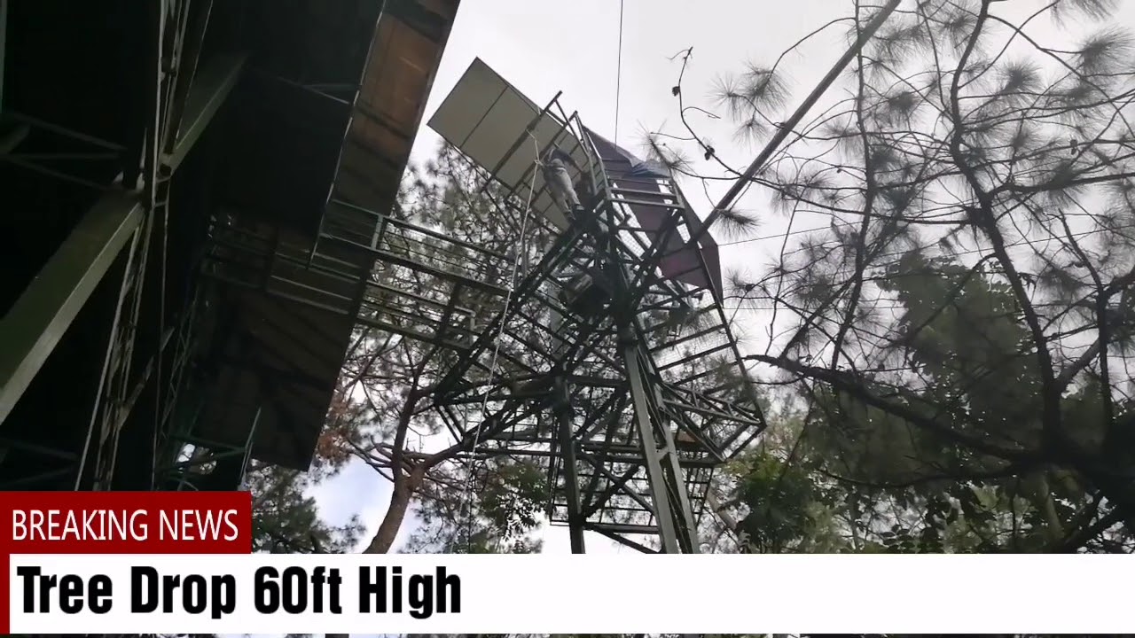 Tree Drop 60ft High Camp John Hay - YouTube