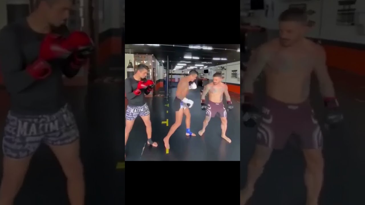 Belly Punching Challenge! #shorts #boxing - YouTube