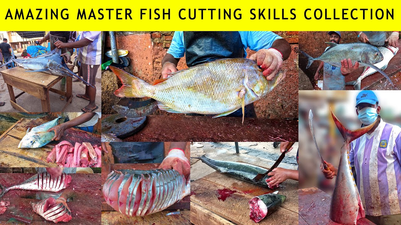 AMAZING FISH CUTTING SKILLS COLLECTION AUGUST ALL IN ONE VIDEOS | FISH ...