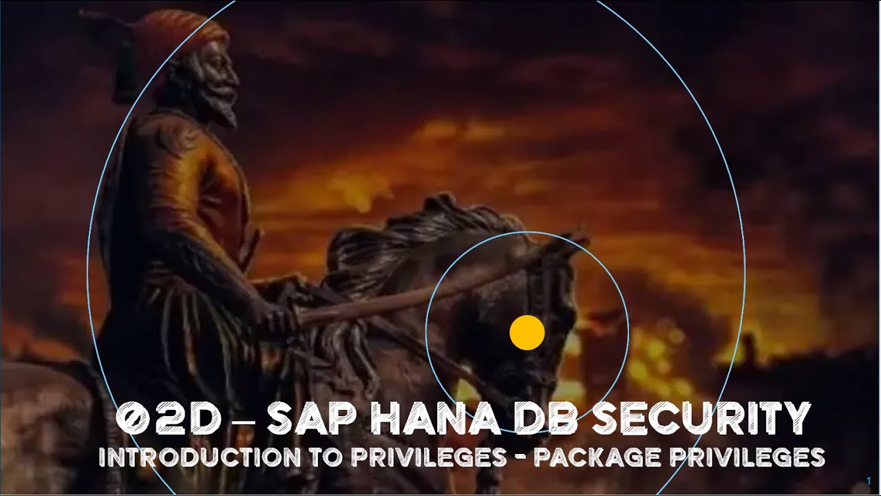 02d Sap Hana Db Security Introduction To Privileges Package