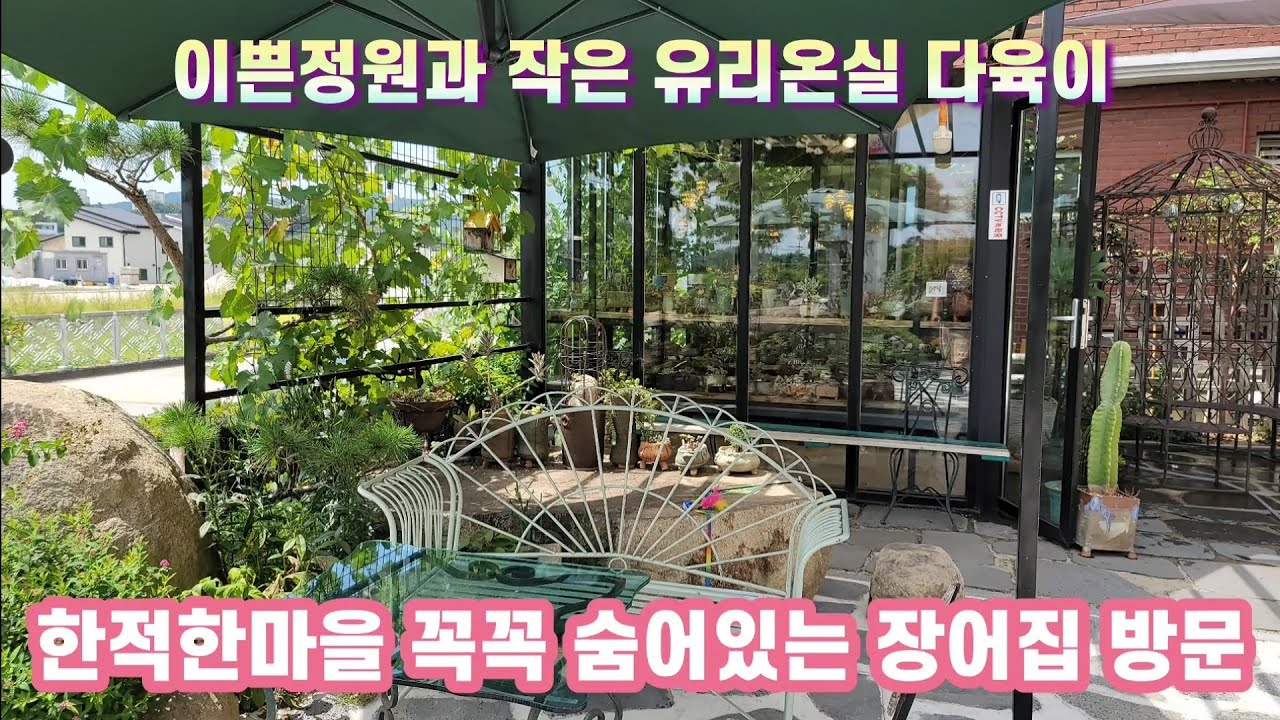 무더운여름 몸보신 하셔야죠 유리온실 다육이들 이쁜 마당정원 물래방아 연못까지 유리온실 마당정원 힘찬장어 국민이 창