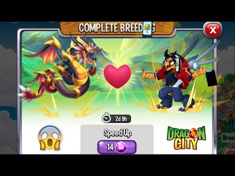Dragon City: High Zephyr Dragon vs High Score Dragon [EXCLUSIVE ...