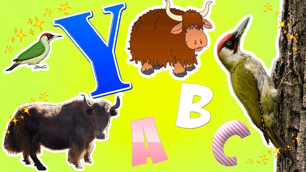 Learn Alphabet with Cartoon & Real Animals for children | ABC Wild ...