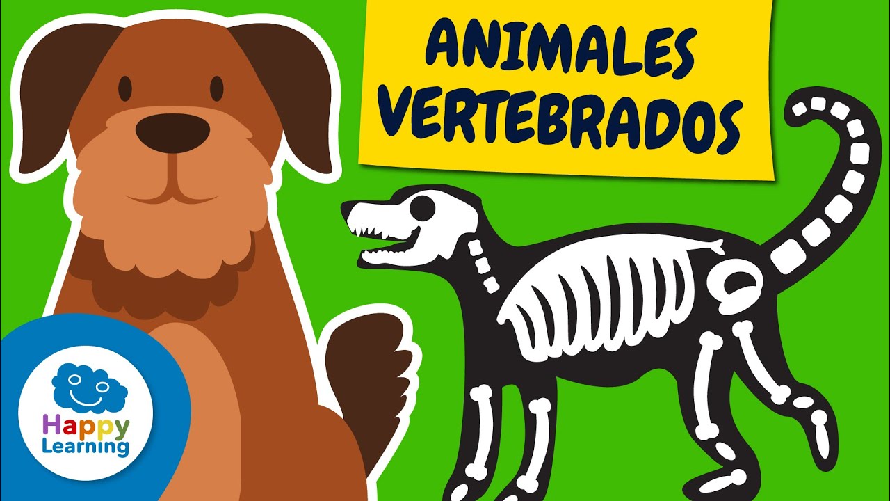 🐾 Aprende los ANIMALES VERTEBRADOS al Completo | Vídeos Educativos para ...