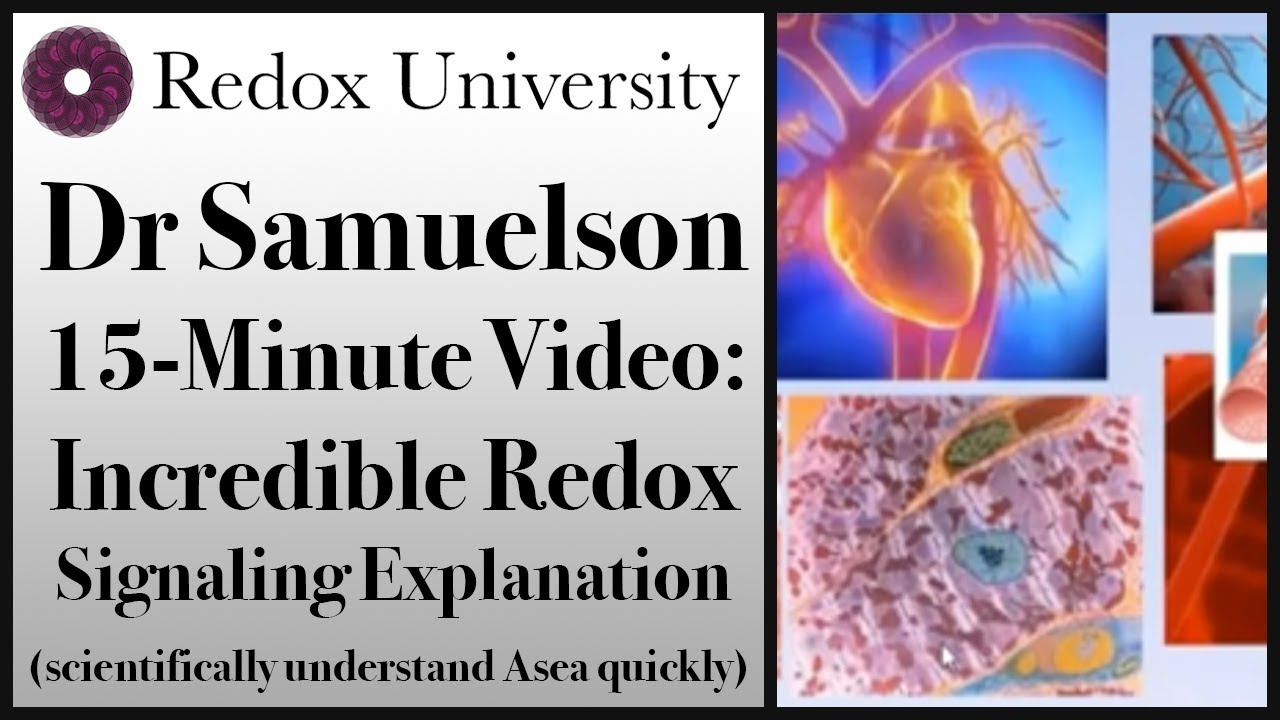 Dr Samuelson: 15-Minute Redox Signaling Explanation - BEST - YouTube
