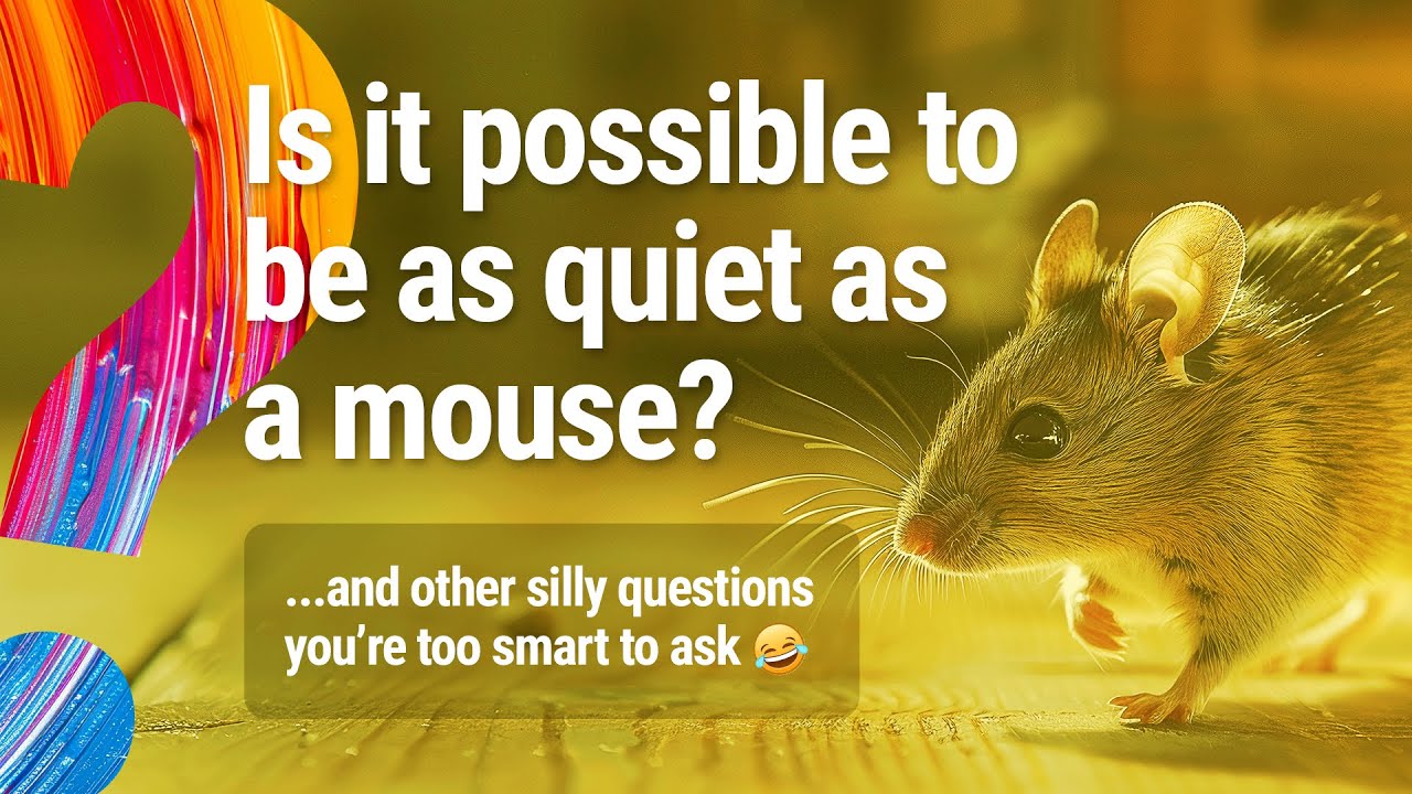 Is it possible to be as quiet as a mouse? / Silly Questions - Part 4 ...