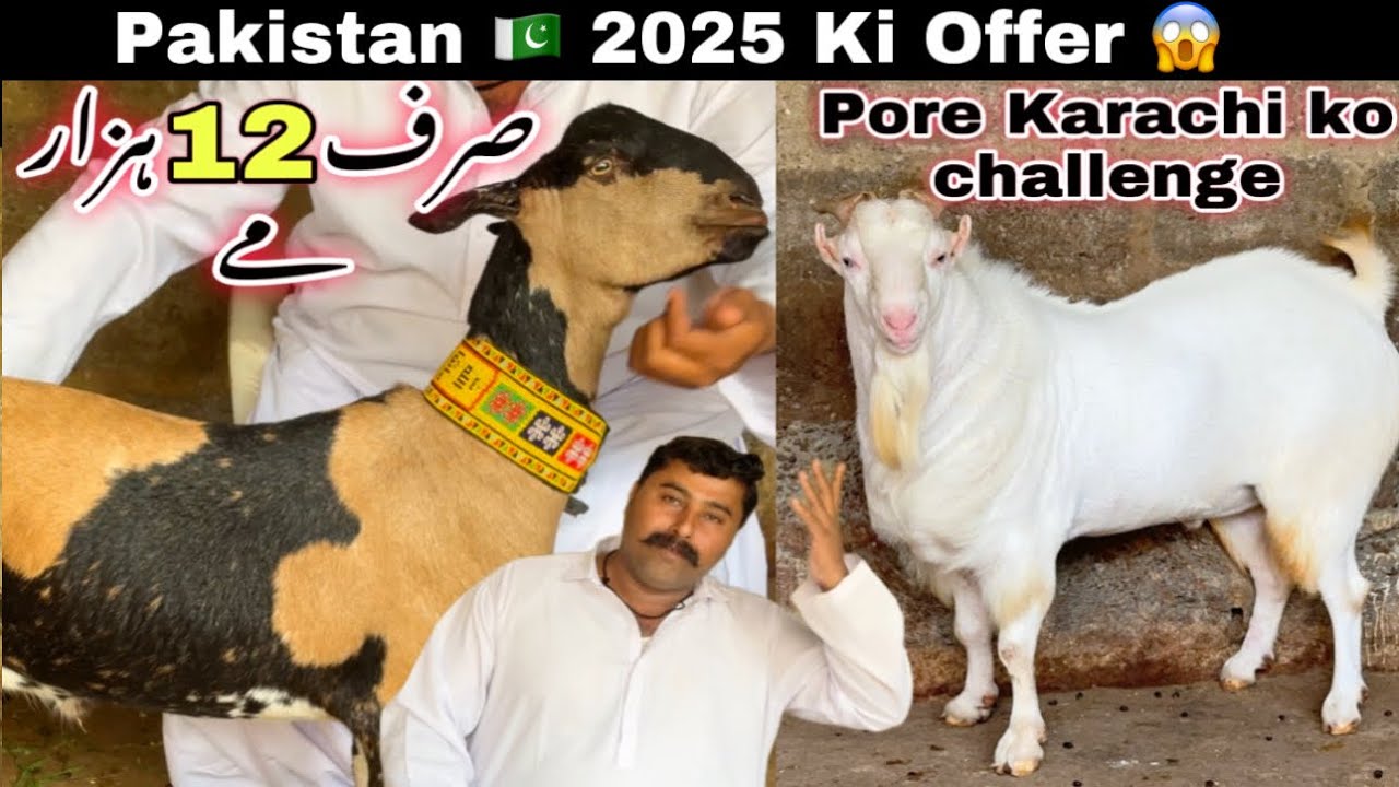 Sirf 12 Hazar Me Akhtar Bhai Ne Pora Pakistan Ko Challenge Kar Diya sirf-12-hazar-me-akhtar-bhai-ne-pora-pakistan-ko-challenge-kar-diya