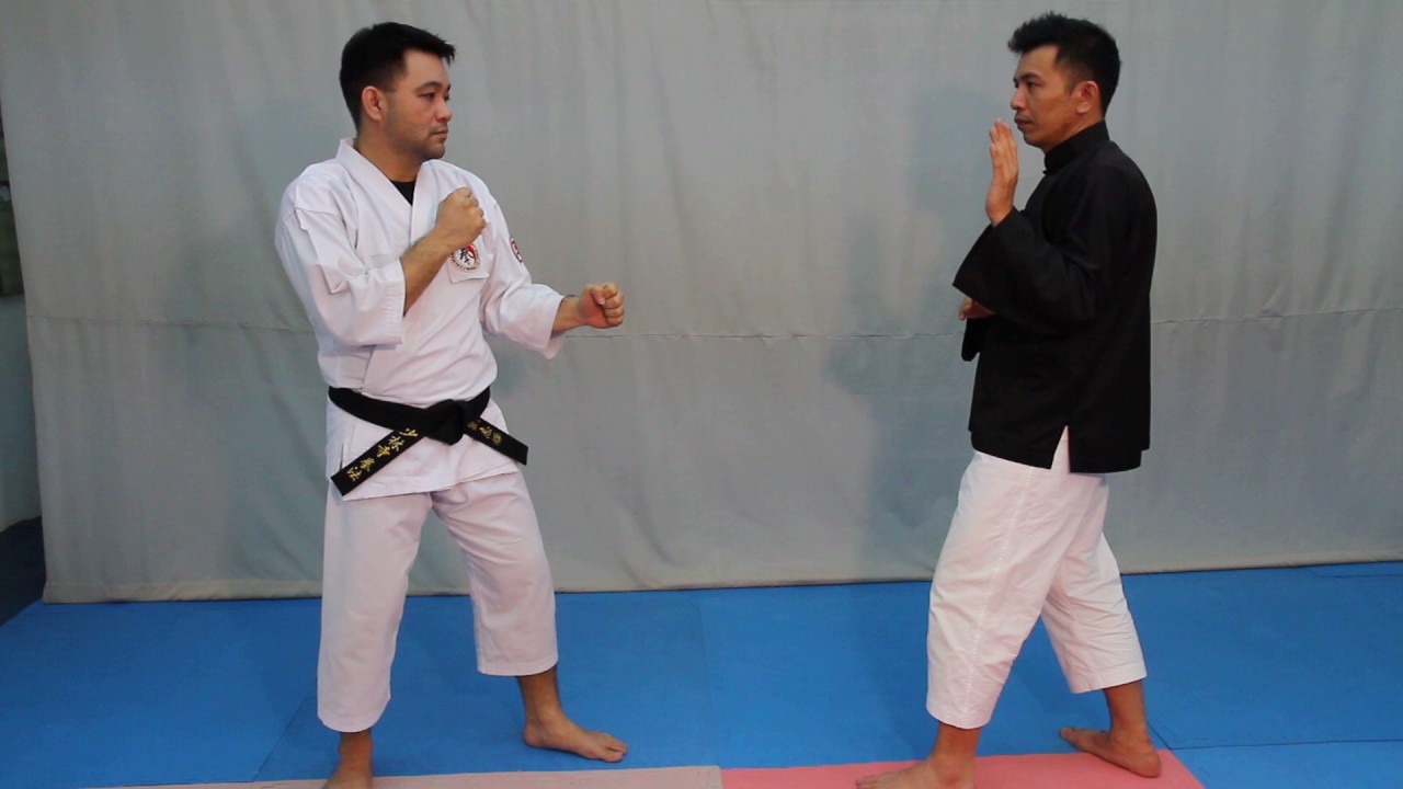 1st kyu 10 Chidori Gaeshi - YouTube