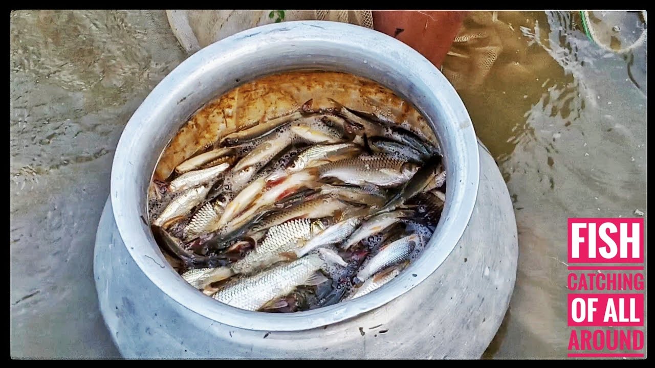 The way fishermen catch fish with nets according to their rules is like ...