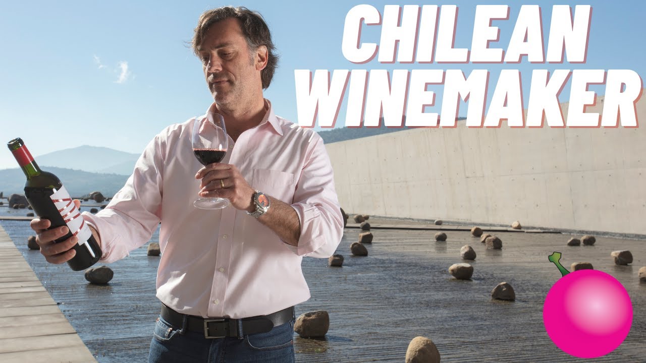 HOLISTIC Winemaking in Chile - 🍇 🇨🇱 - YouTube