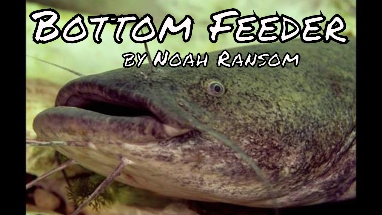 BOTTOM FEEDER by Noah Ransom | NOAH RANSOM MUSIC - YouTube