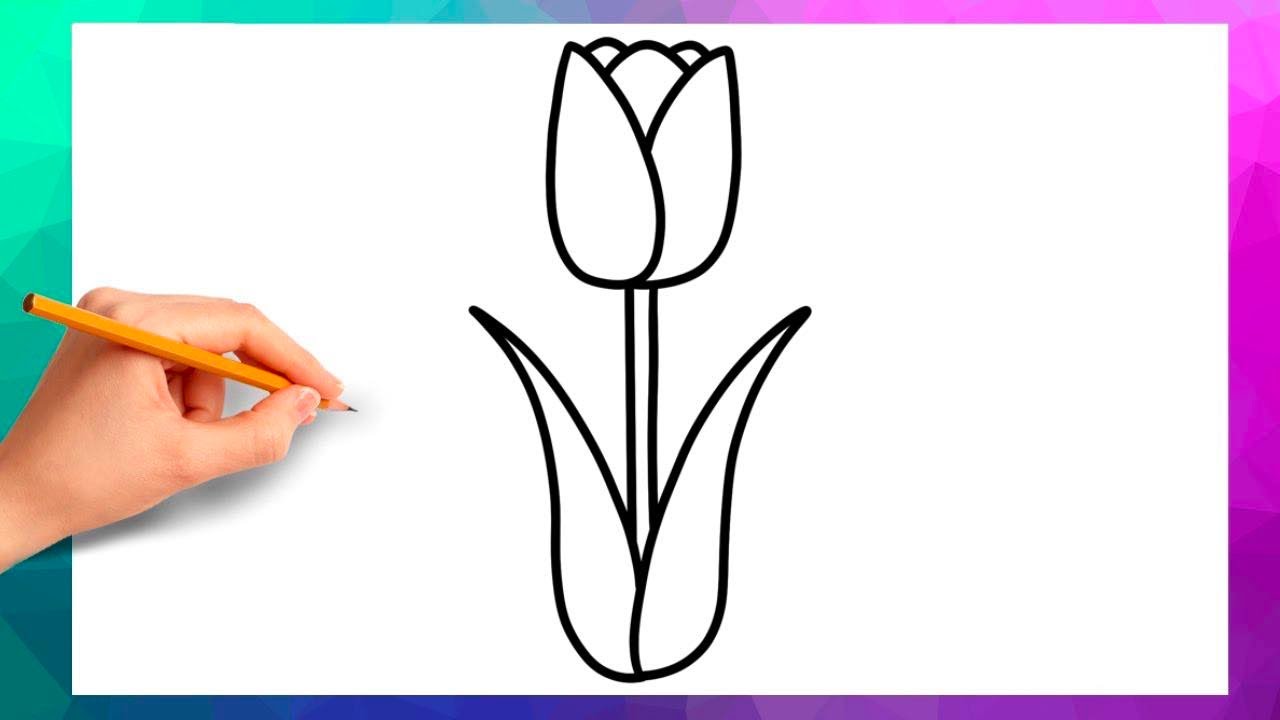 Deseneaza o LALEA Pas cu Pas | Desenez Flori de PRIMAVARA Pas cu Pas ...