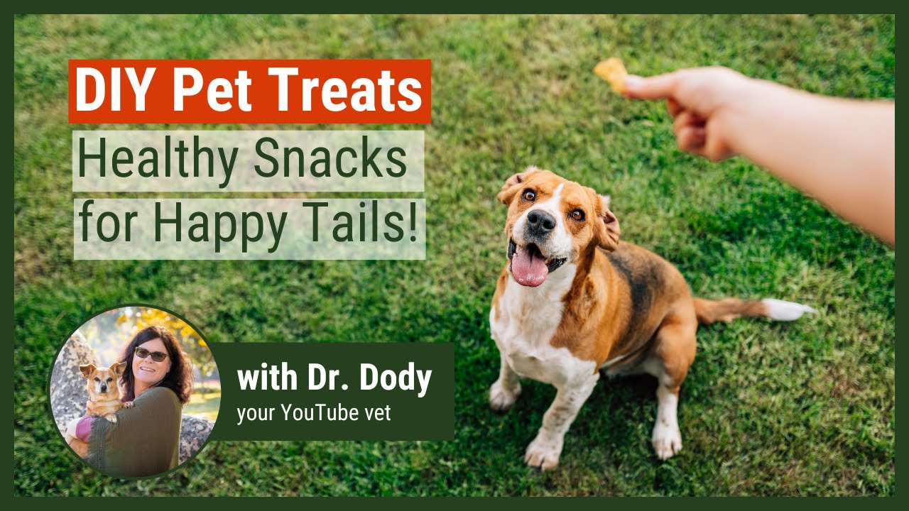 How to Make Your Own Pet Treats - Simple and Easy! - YouTube