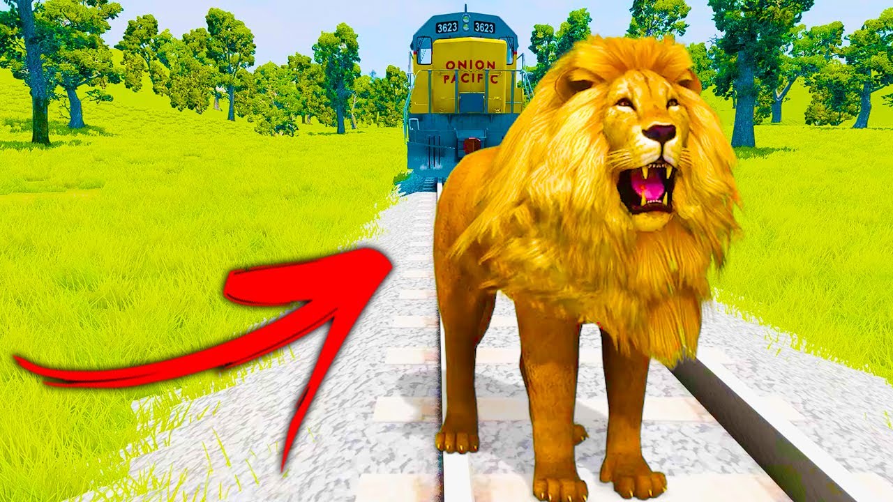 Train Vs Lion Stopping The Train For Bite All Passenger - YouTube