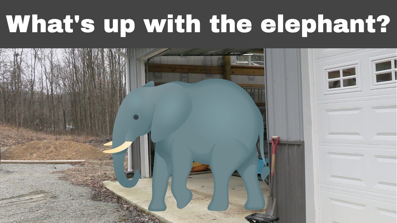E15: The Elephant in the Darn Barn - YouTube