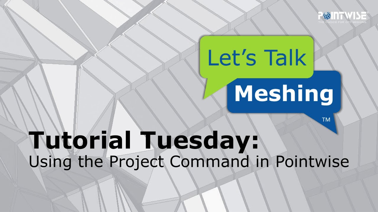 Using the Project Command in Pointwise - YouTube