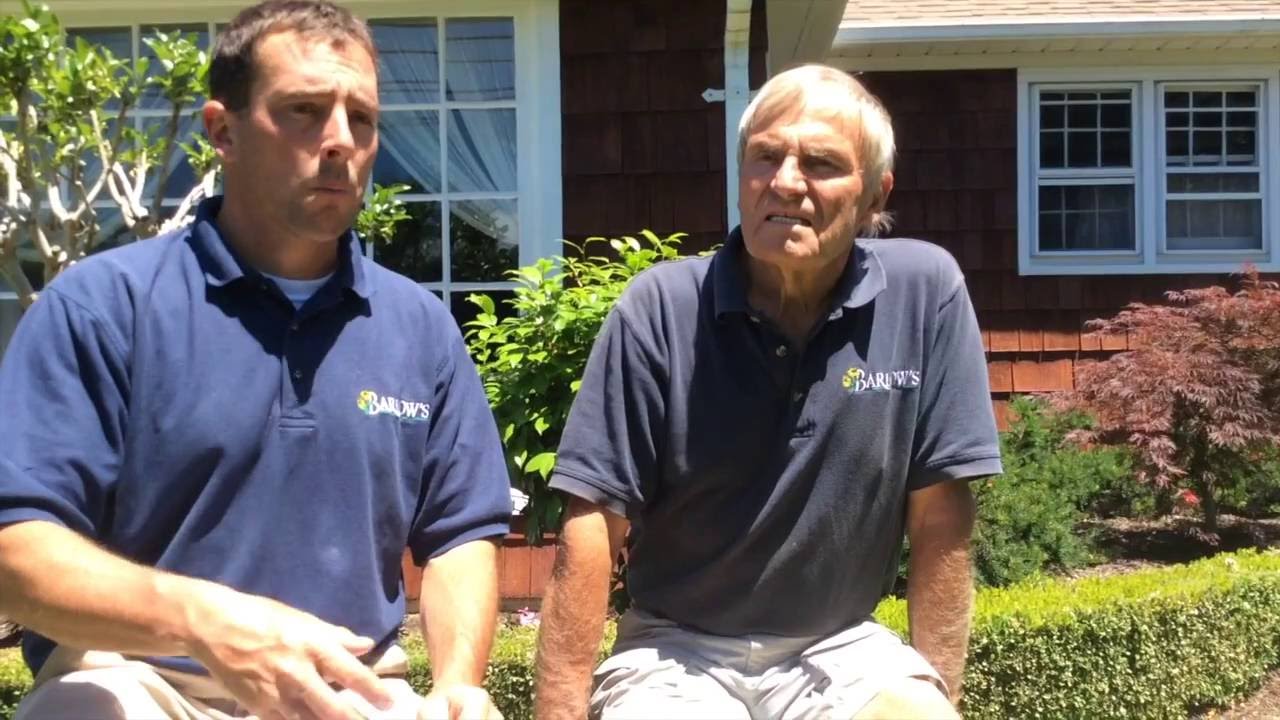 Q&A Tuesday with Stephen & Steve Barlow [Episode 011] Celebrating ...