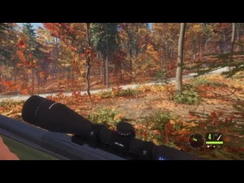 new Hampshire moose hunt with 338 lapua magnum bullets - YouTube