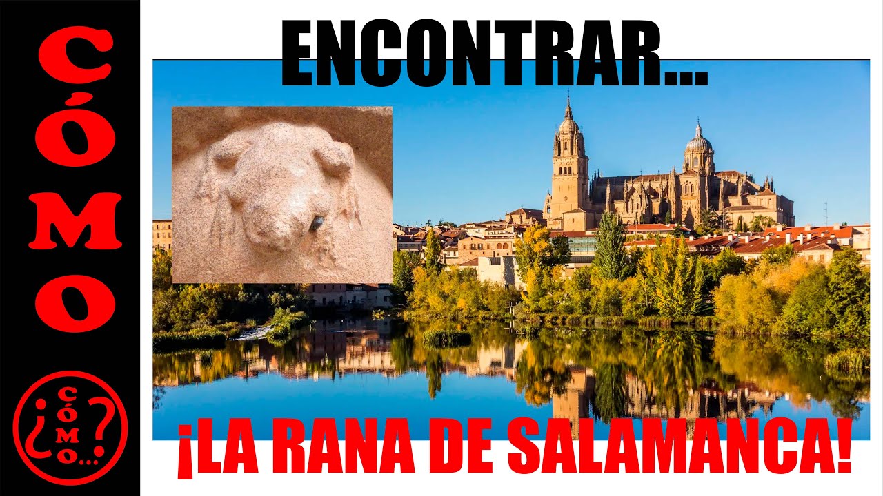 CÓMO Encontrar la !Rana de Salamanca! 🐸 - YouTube